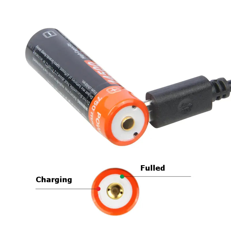 Nicron NRB-3400 Rechargeable Battery ( Mini USB Port ) – Techno Tools ...